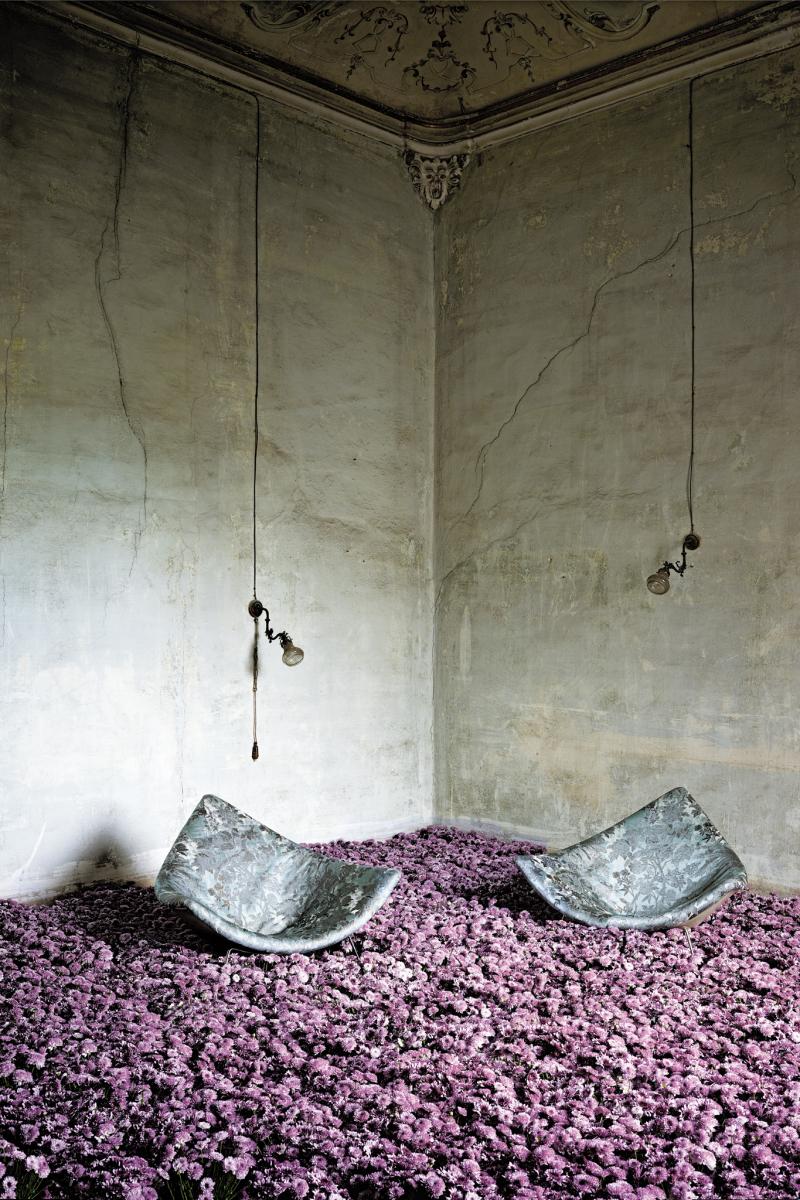 Dorian gray. Floral jacquard in silk. Rubelli